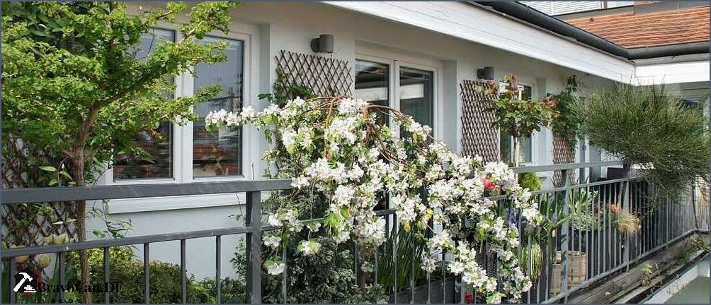 Baum für Balkon Die besten Optionen für Grünpflanzen auf dem Balkon – Bravocan.DE