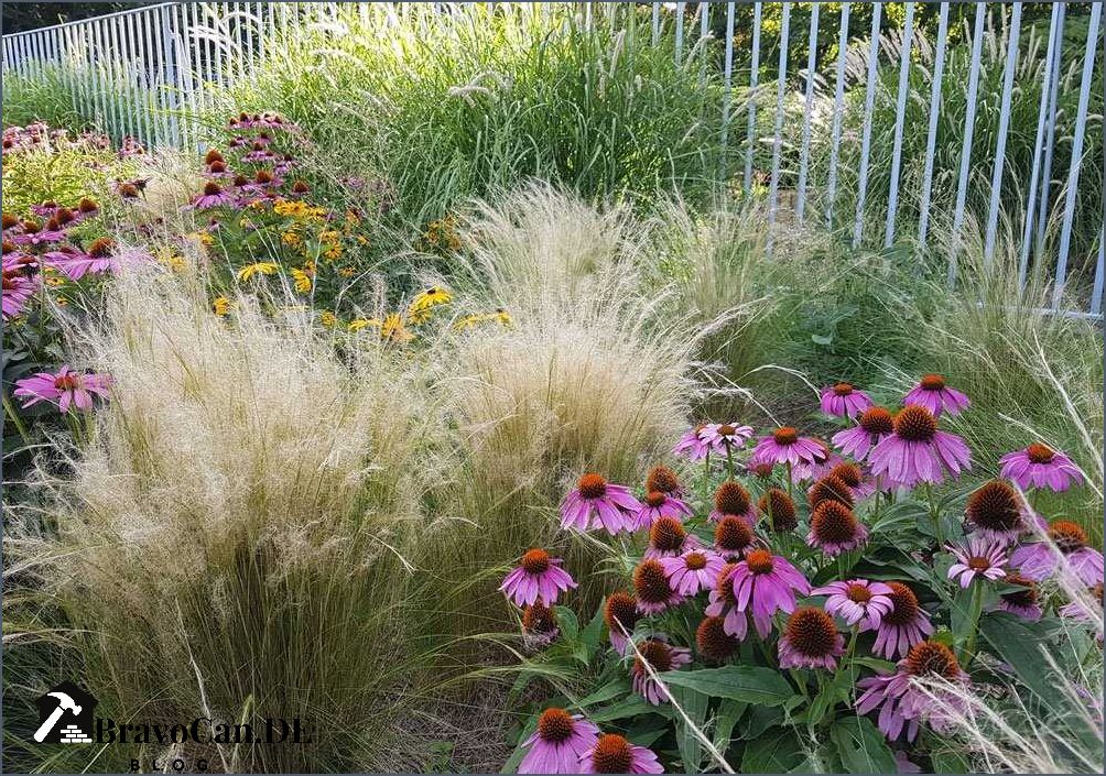 Gartengestaltung mit Hortensien und Gräsern Tipps und Ideen – Bravocan.DE