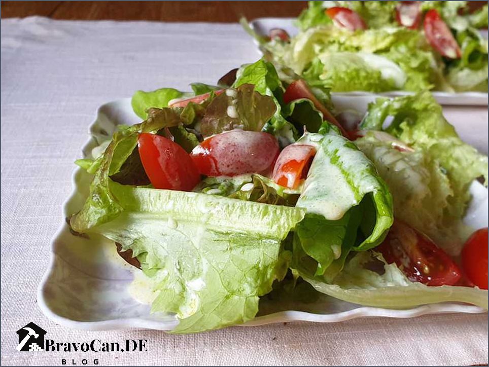 Lollo Rosso Salat Eigenschaften Verwendung und Rezepte – Bravocan.DE