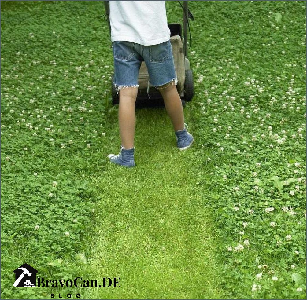 Neu Gester Rasen Nicht Dicht