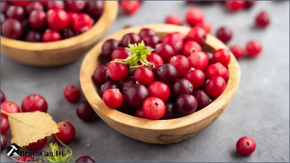 Was sind Cranberries Alles was Sie über diese gesunden Beeren wissen ...