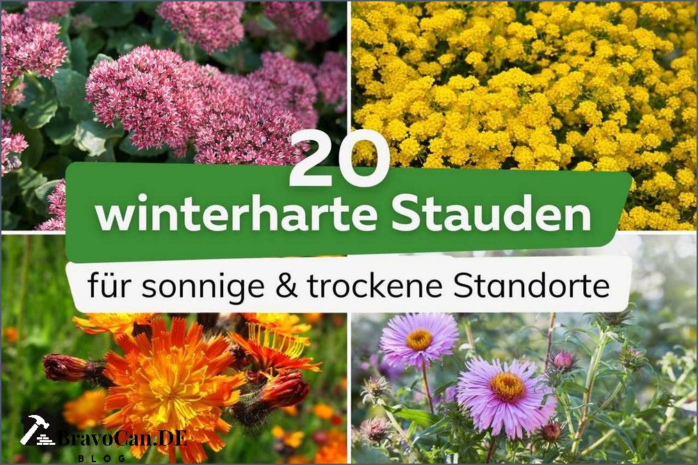 Winterharte Kleinstauden Fur Friedhofe