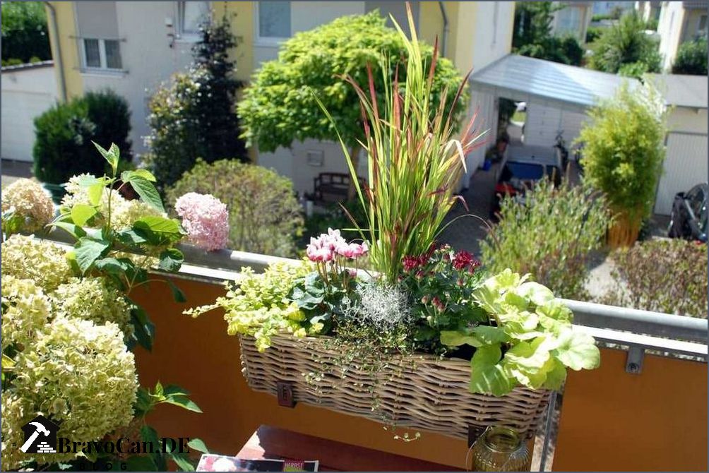 Balkonkästen Herbstblumen Balkon Die besten Pflanzen für den Herbst – Bravocan.DE