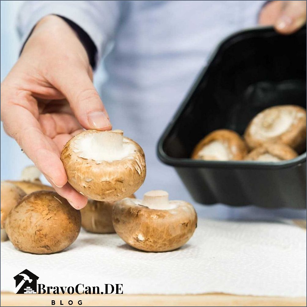 Champignons Weier Flaum