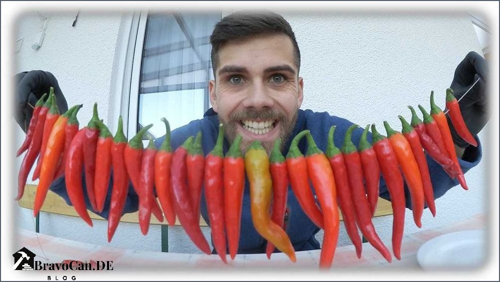 Chilis Trocknen In Der Wohnung