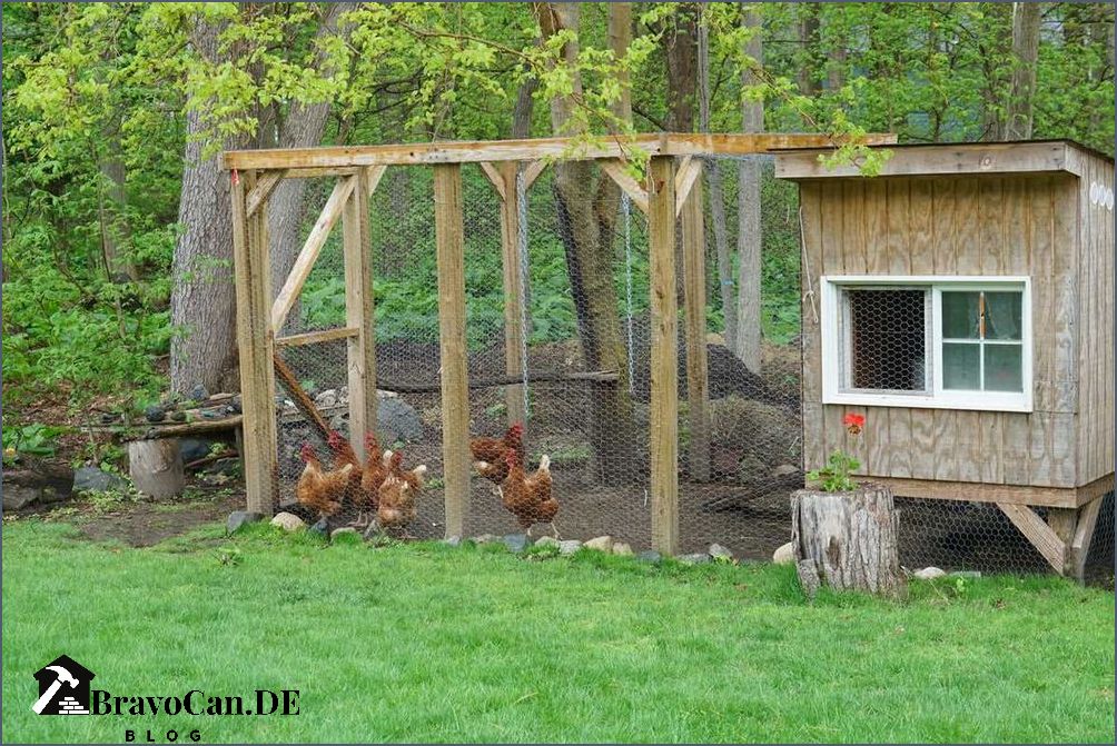 Huhnergehege Selber Bauen
