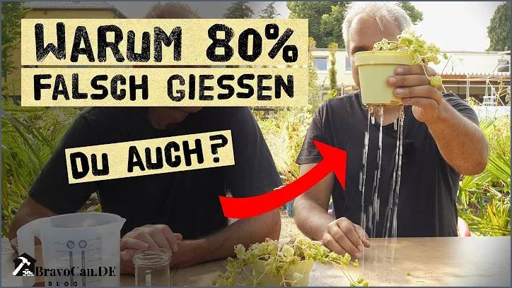 Elefantenfuß Von Unten Gießen