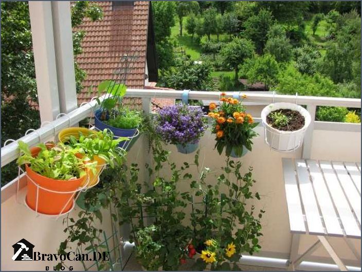 Gemuse Fur Den Balkon