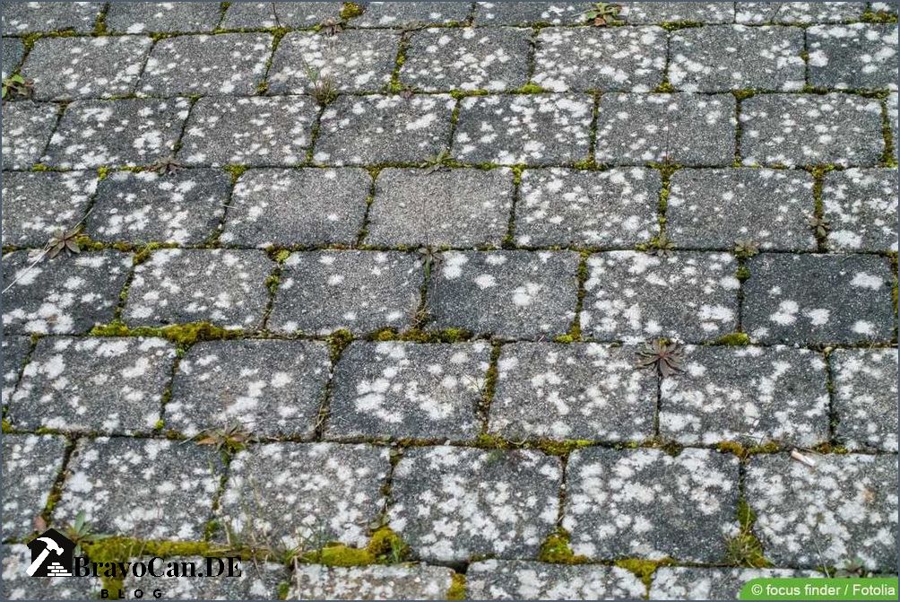 Flechten auf Pflastersteinen Tipps zur Entfernung und Vorbeugung ...