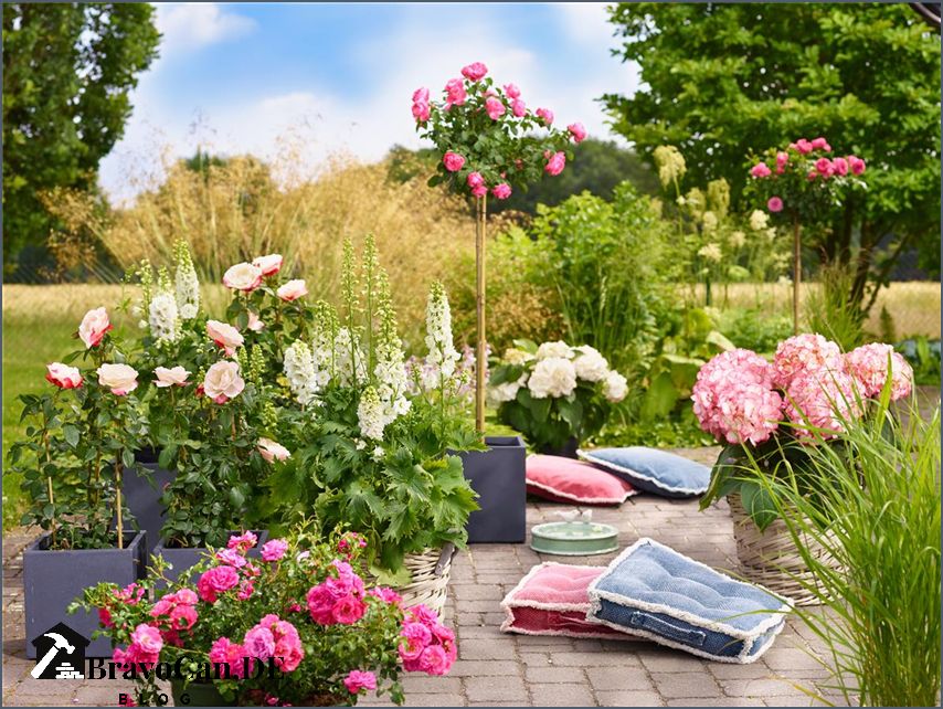 Gartengestaltung mit Hortensien und Gräsern Tipps und Ideen – Bravocan.DE