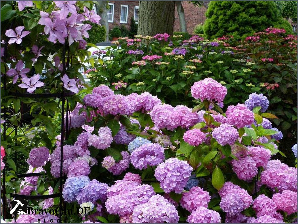 Gartenpflanzen Mit Groen Blattern