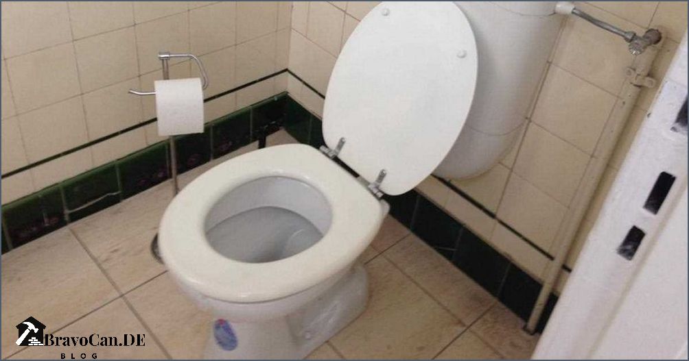 Kaka in der Toilette Tipps zur richtigen Entsorgung – Bravocan.DE