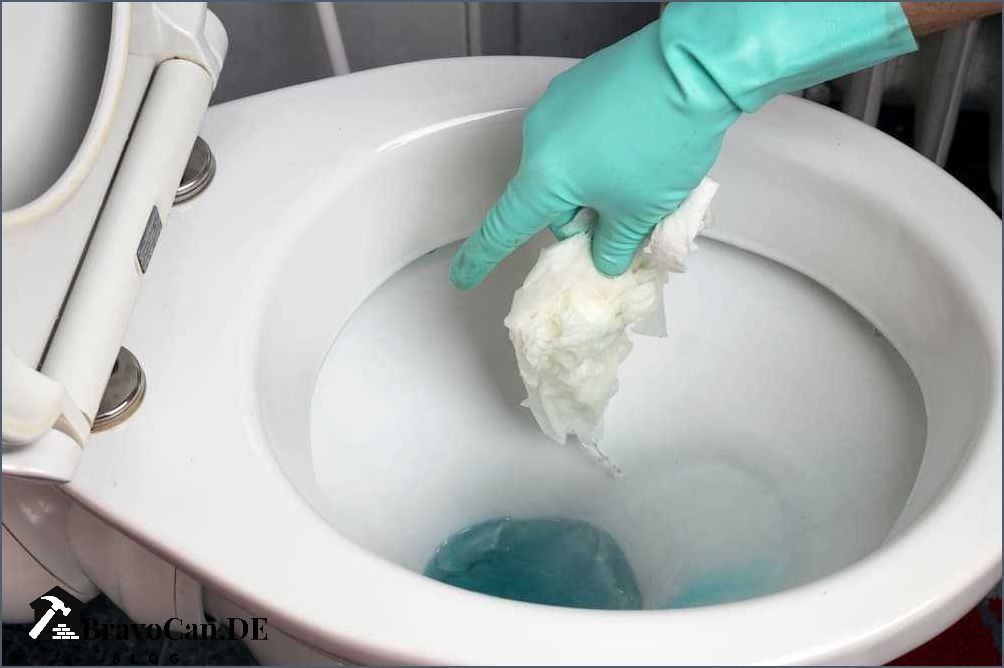 Kaka in der Toilette Tipps zur richtigen Entsorgung – Bravocan.DE