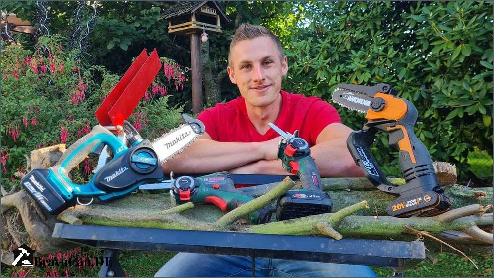 Faszinierend Kleine Elektrische Sage Fur Holz Bild