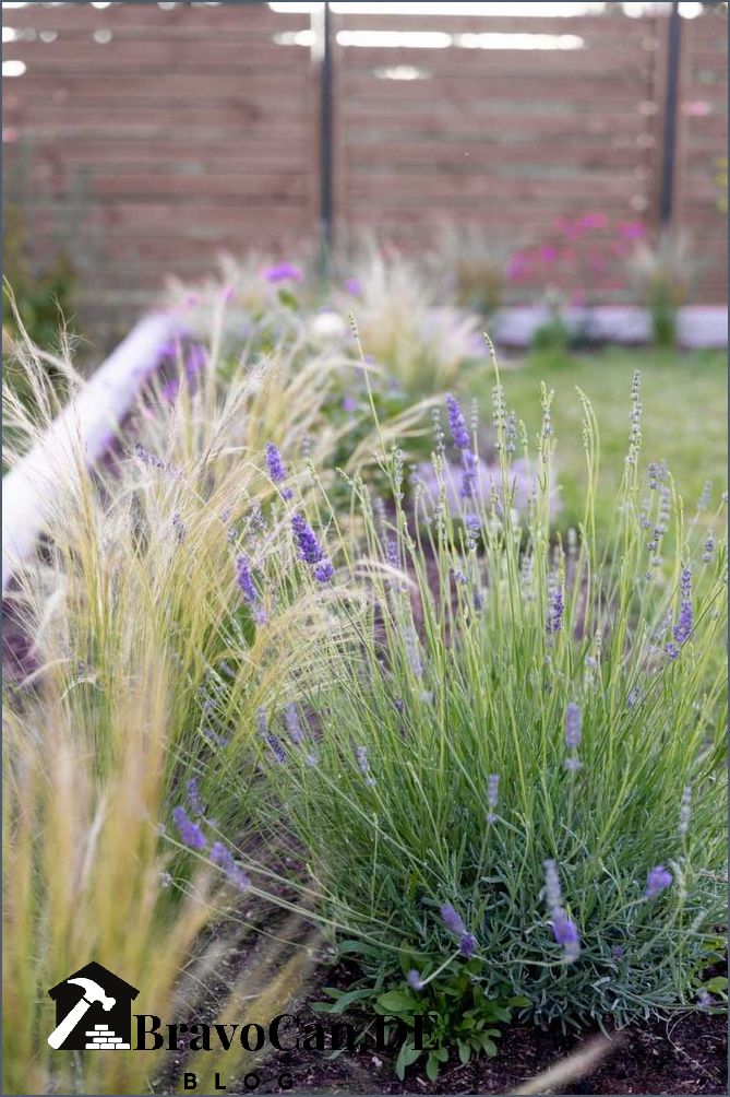 Lavendel und Gräser kombinieren – Die perfekte Kombination für deinen ...