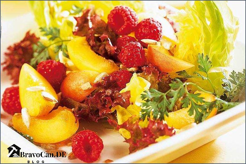 Lollo Rosso Salat Eigenschaften Verwendung und Rezepte – Bravocan.DE