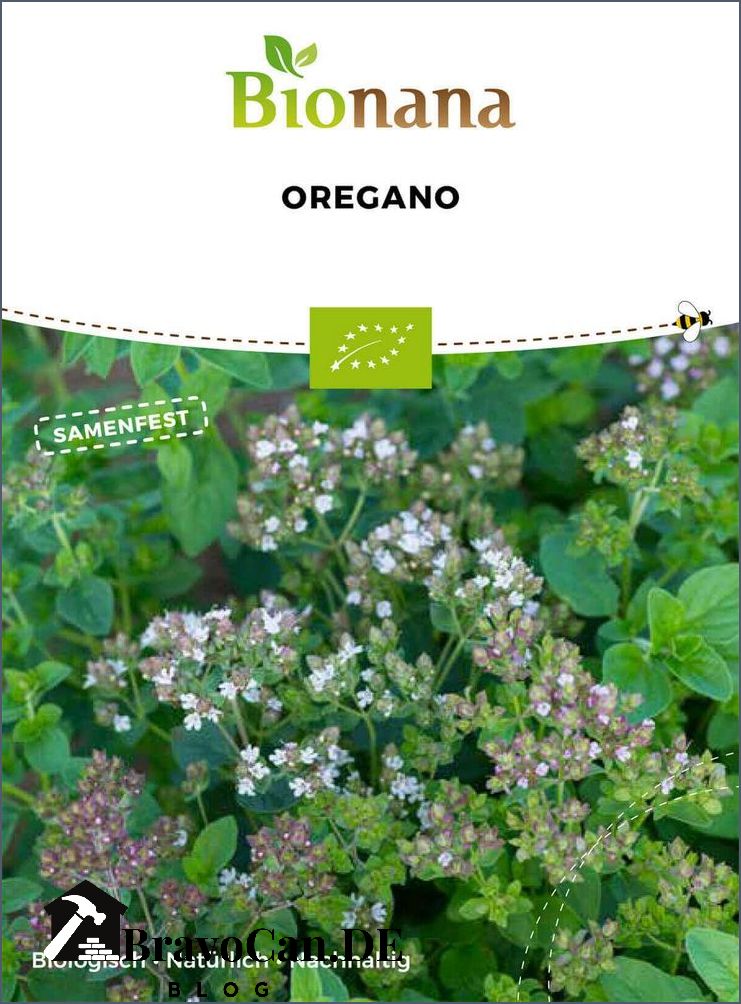 Oregano Gute Nachbarn