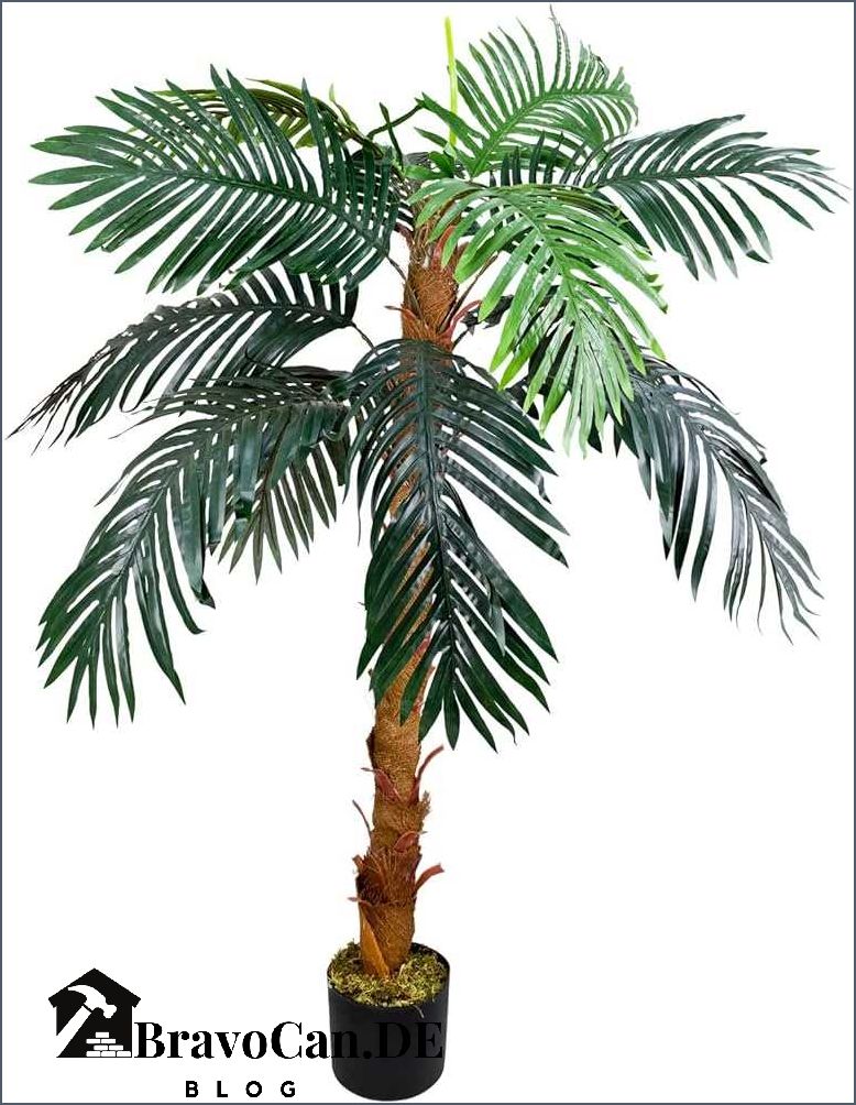 Palme für Balkon Wie Sie Ihren Balkon mit Pflanzen verschönern ...