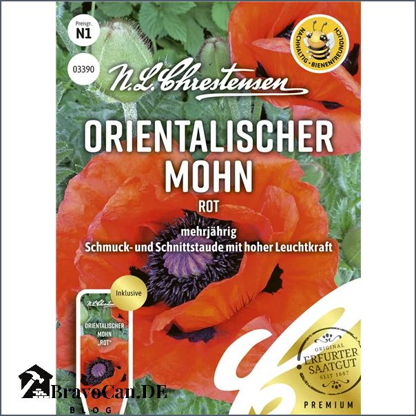 Mohn im Topf säen Anleitung und Tipps für eine erfolgreiche Aussaat ...