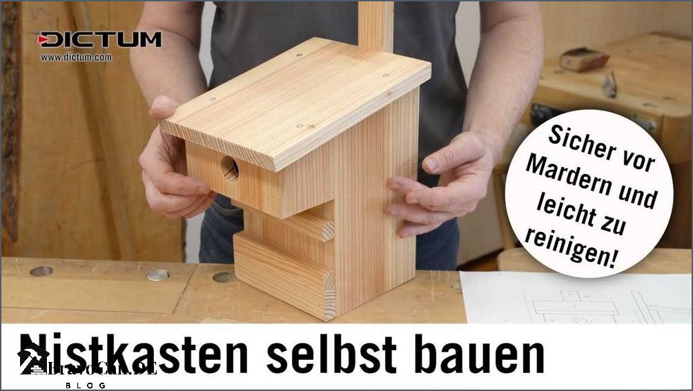 Nistkasten Rotkehlchen Bauanleitung Pdf