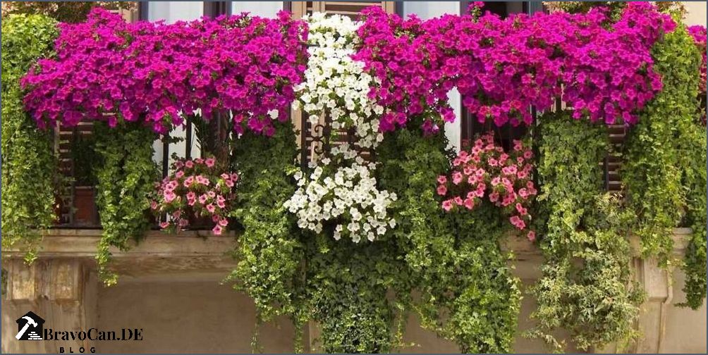 Stilvolle Pflanzen Fur Blumenampel Drauen Bild
