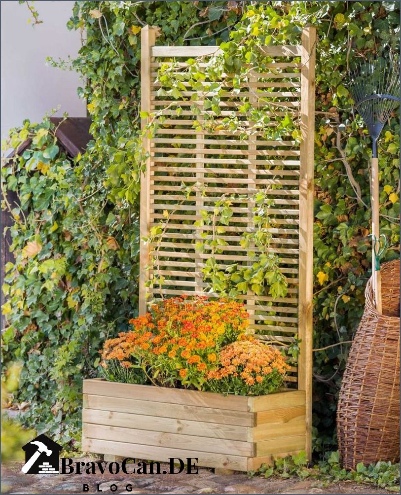Spalier Holz freistehend Die perfekte Lösung für Ihren Garten – Bravocan.DE