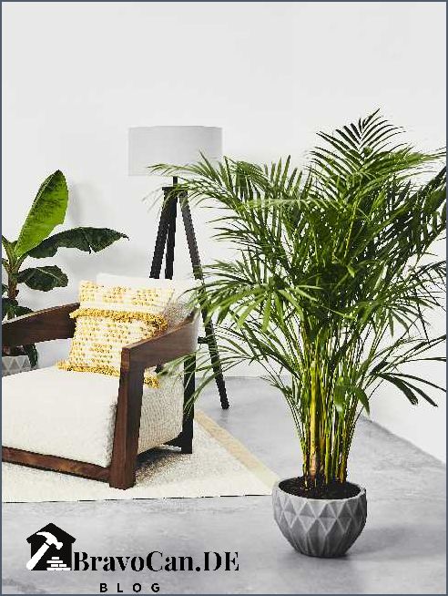 Groe Pflanzen Frs Wohnzimmer