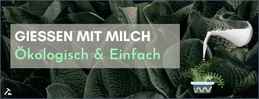 Verwunderlich Pflanze Mit Milch Gieen Ebenbild