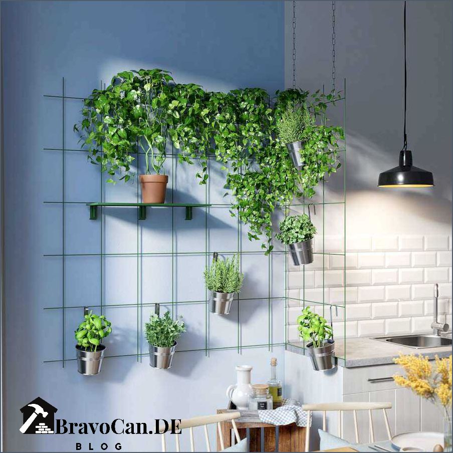 Pflanzen Decke Hangen