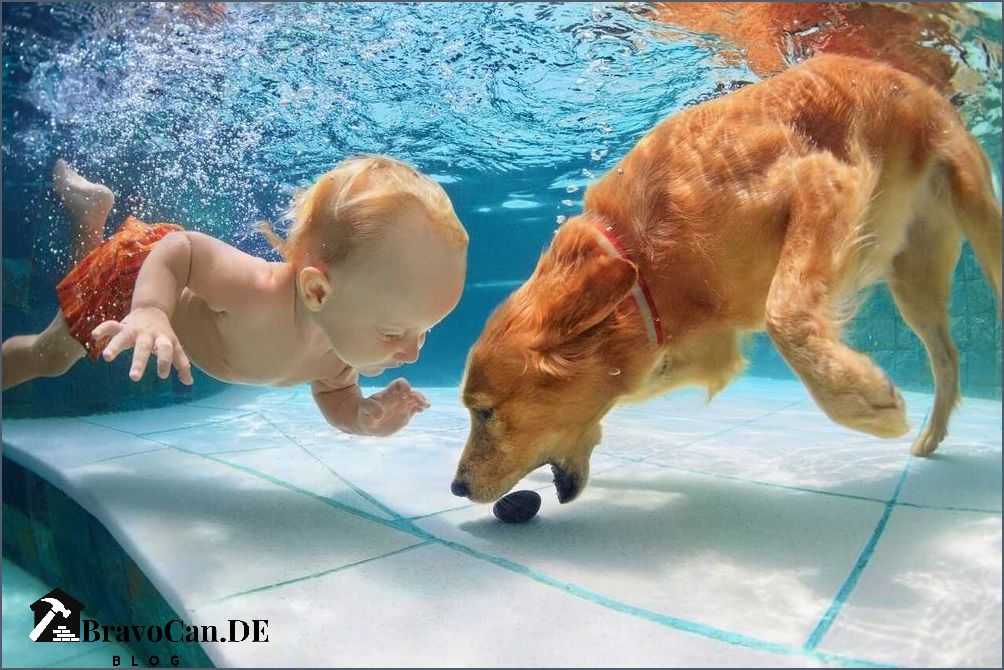 Tiere im Pool Tipps zum Umgang mit unerwünschten Gästen – Bravocan.DE