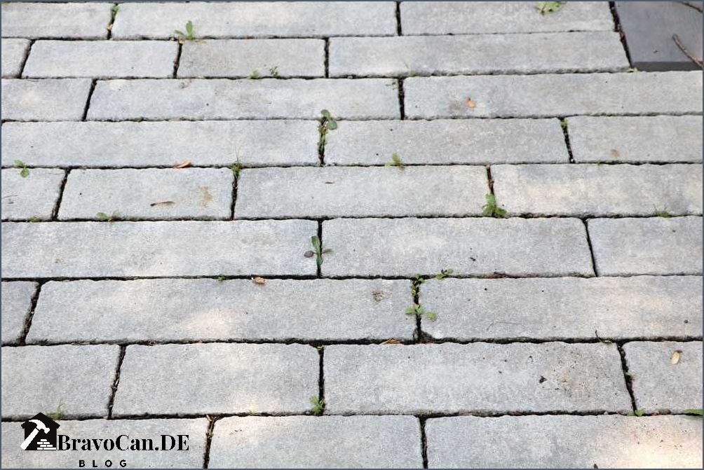 Unkraut im Pflaster dauerhaft entfernen Effektive Methoden und Tipps ...