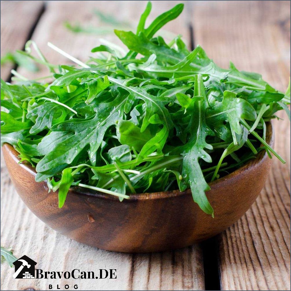 Wächst Rucola nach Alles was Sie wissen müssen – Bravocan.DE