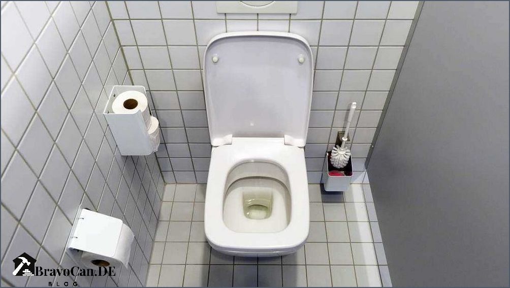 Wie man eine stark verkalkte Toilette reinigt – Tipps und Tricks ...
